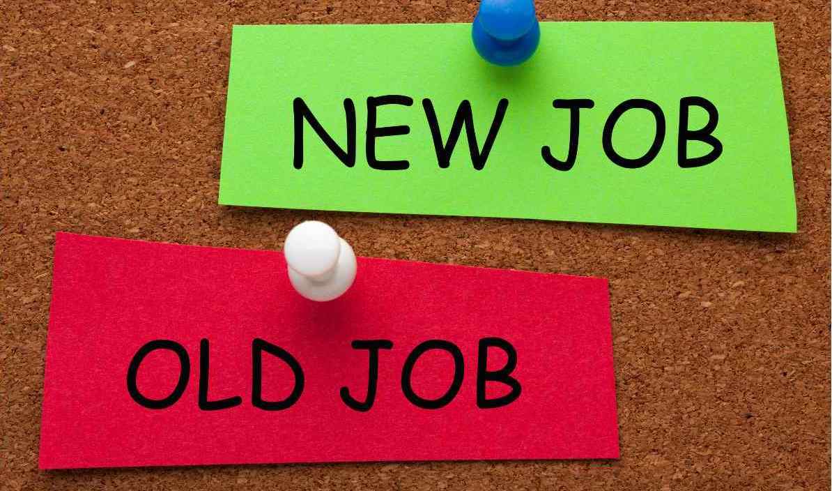 Personlig Rådgivning om Job og Karriere med Mening og Passion - Vibeke ...