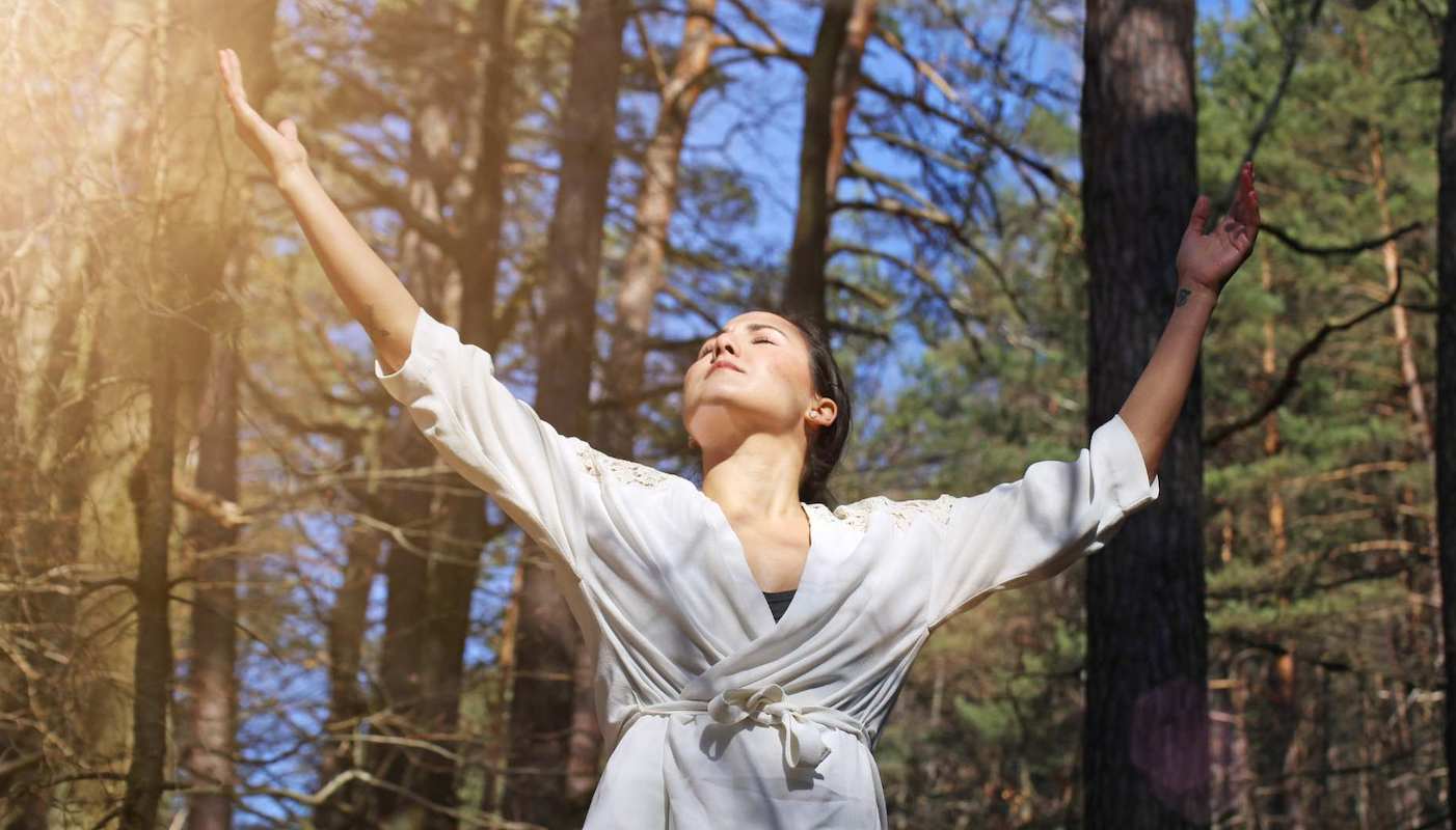 How to Forest Bathe: The Mindful Practice of Japanese Forest Bathing ...